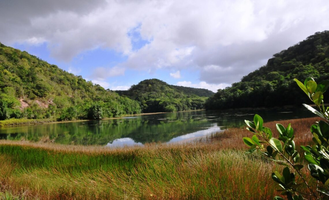 Conheça a APA Catolé e Fernão Velho: um oásis em meio à Região ...